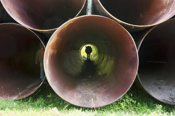 Cow in huge pipe — Stock Photo © panaramka.ukr.net #98990336