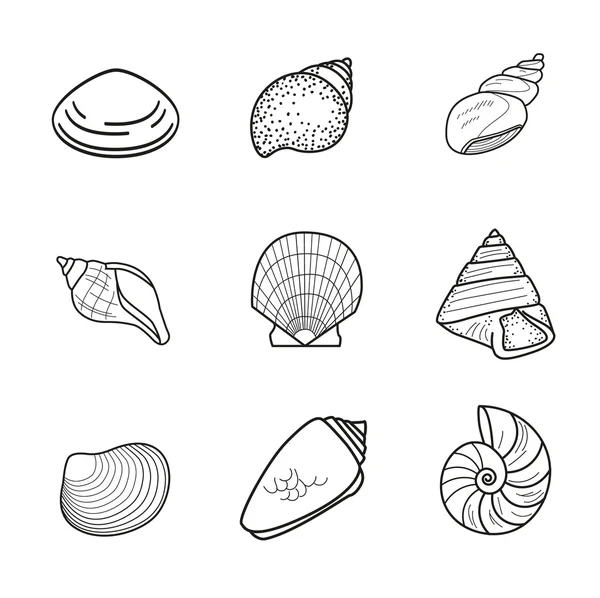 Picture: cartoon seashells | Sparkling Cartoon Sea Shells. Vector ...
