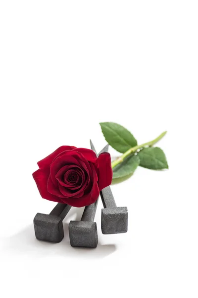 Jesus Christ crown of thorns, nails and two roses. Stock Photo by ...