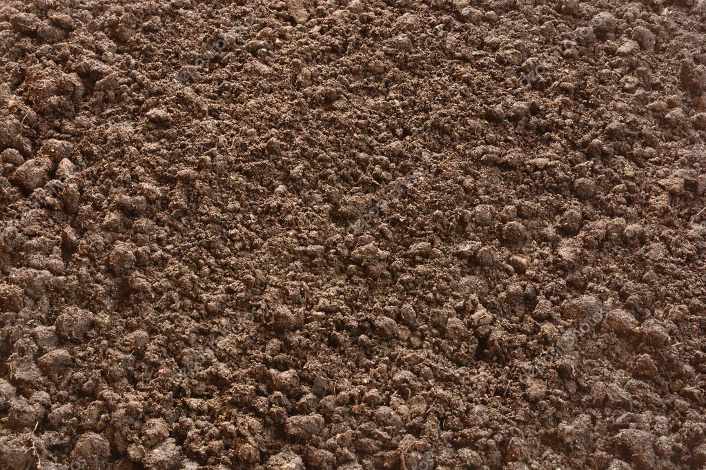 Soil Background Texture