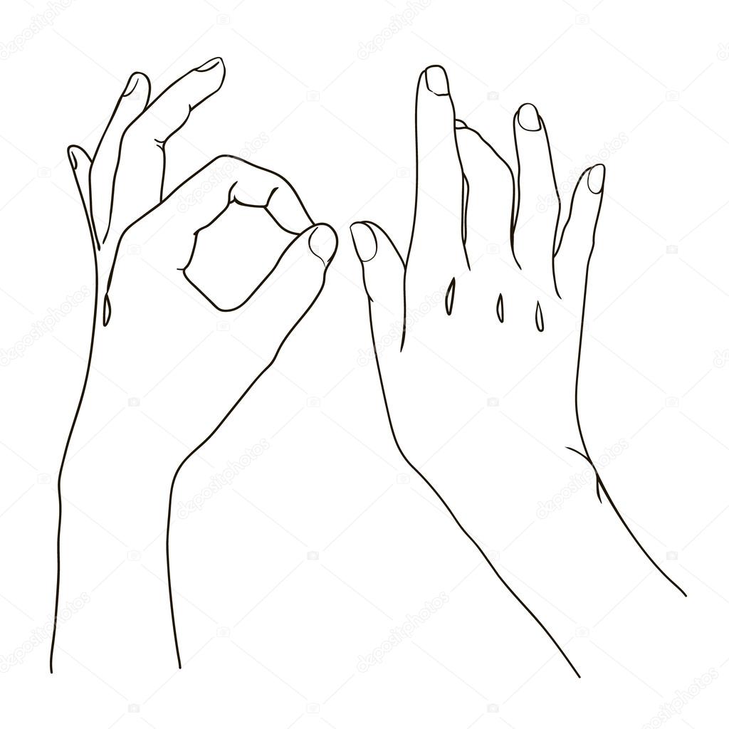 Outlines Of Hands On White Background — Stock Vector © Ksu Ganz 105122218