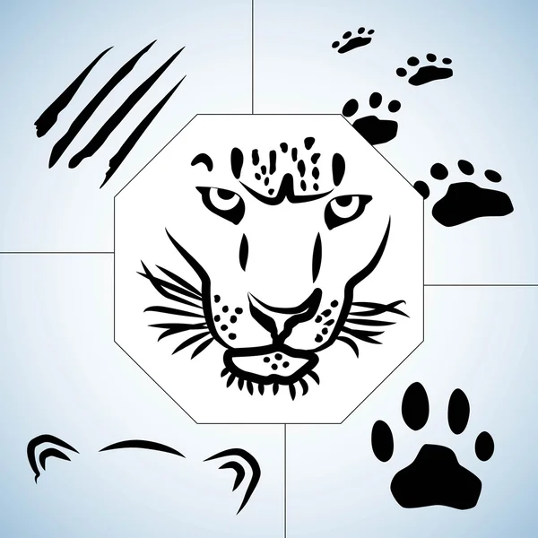 Panther Paw Claw Marks