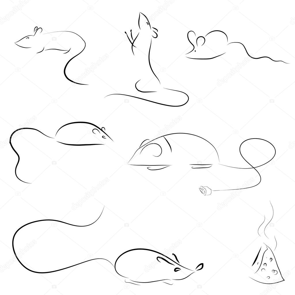 Mouse abstract lines on a white background Stock Vector by ©sveta ...