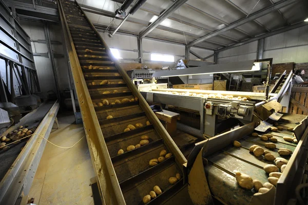 Potato processing Stock Photos, Royalty Free Potato processing Images ...