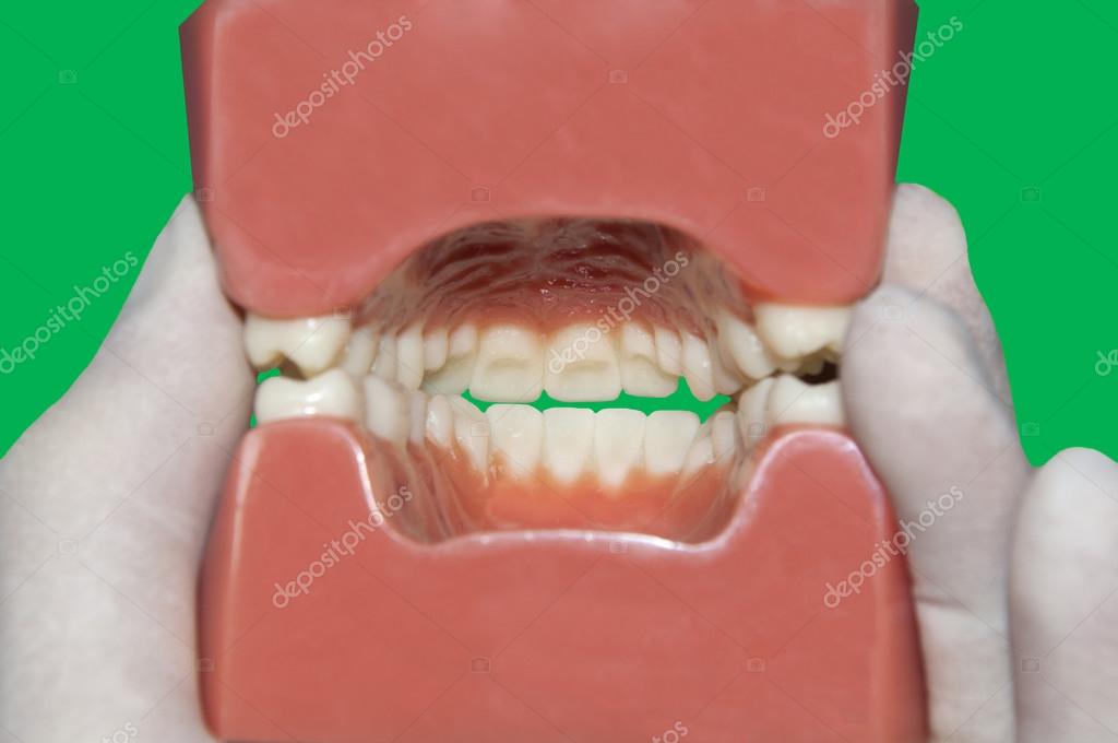 View of interior mouth: Green Screen/ Chroma key — Stock Photo © mkarco ...