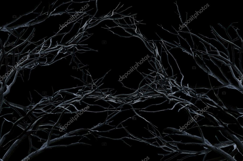 Night Of Trees And Branches