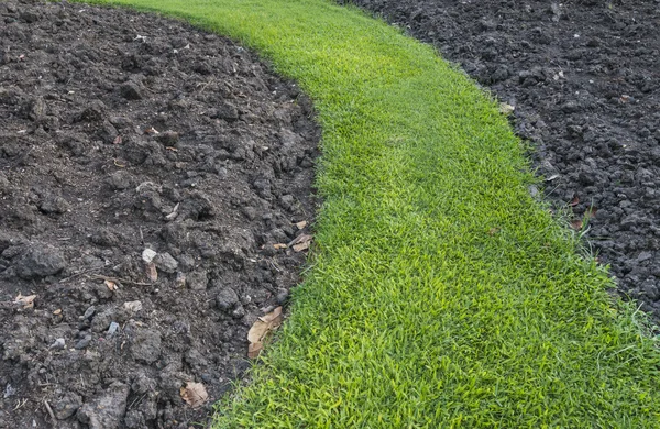 Green grass path with soil background Stock Photo by ©WorldWide_Stock ...