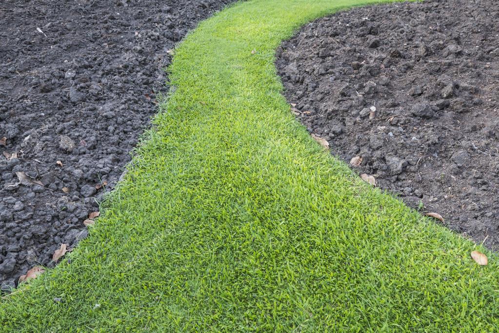 Green grass path with soil background Stock Photo by ©WorldWide_Stock ...