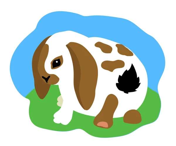 100,000 Holland lop Vector Images | Depositphotos