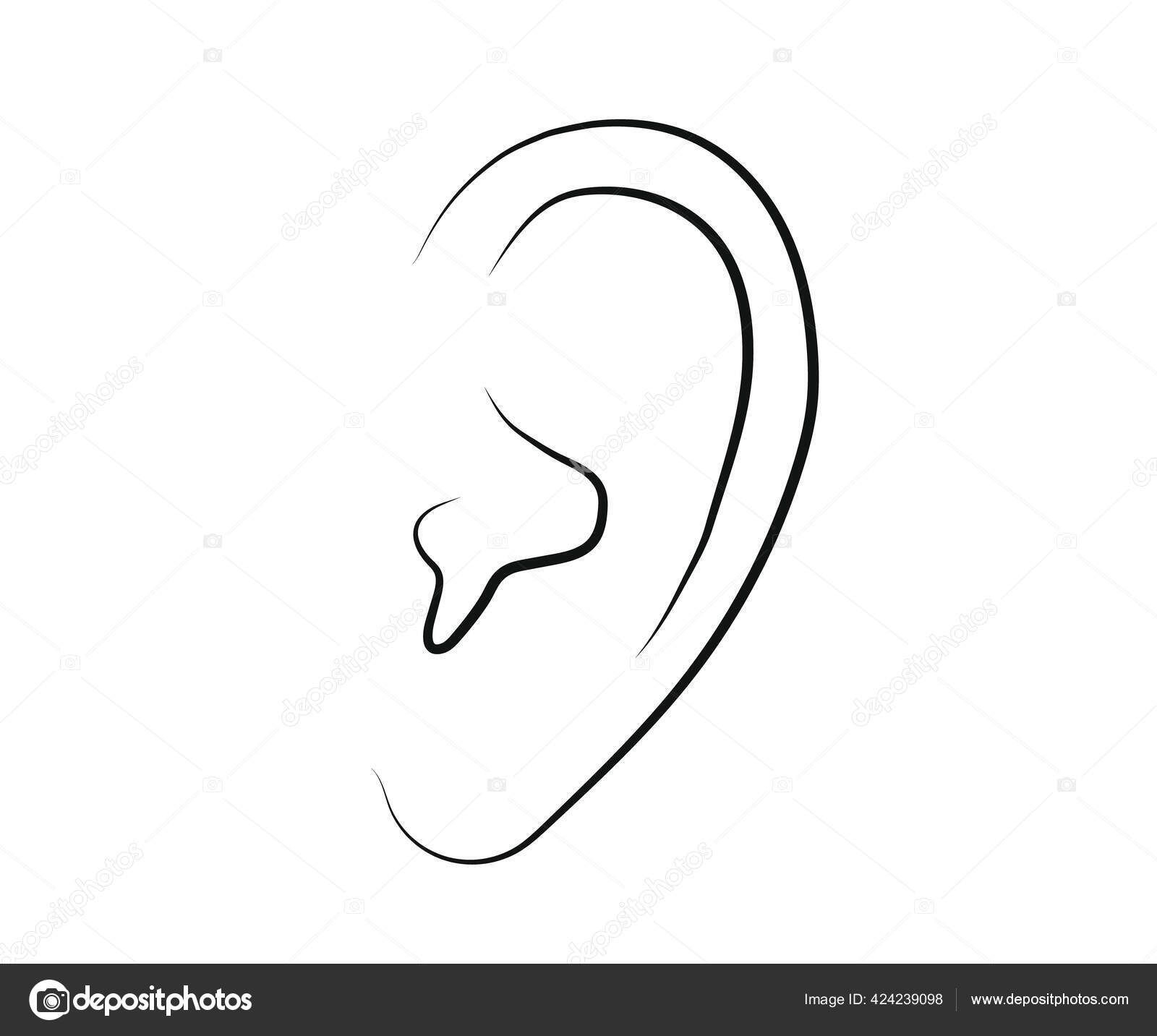 Ear White Background Silhouette Vector Illustration Stock Vector by ...