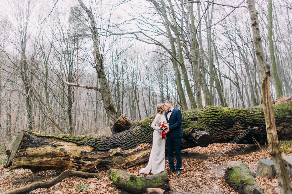 Happy young wedding couple kissing near the tree trunk. Autumn forest ...
