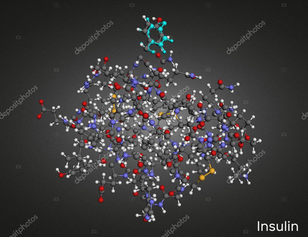 Molécula de insulina humana. Es la hormona peptídica, producida por las ...