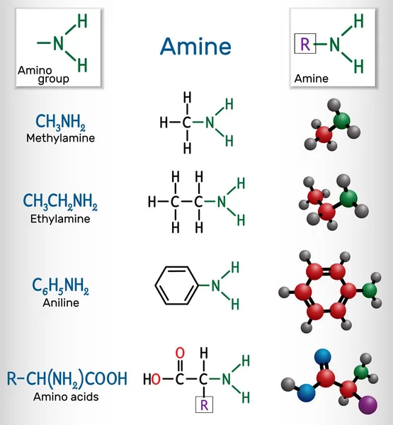 Metilamina, etilamina, anilina, moléculas de aminoácidos. Los aminas ...