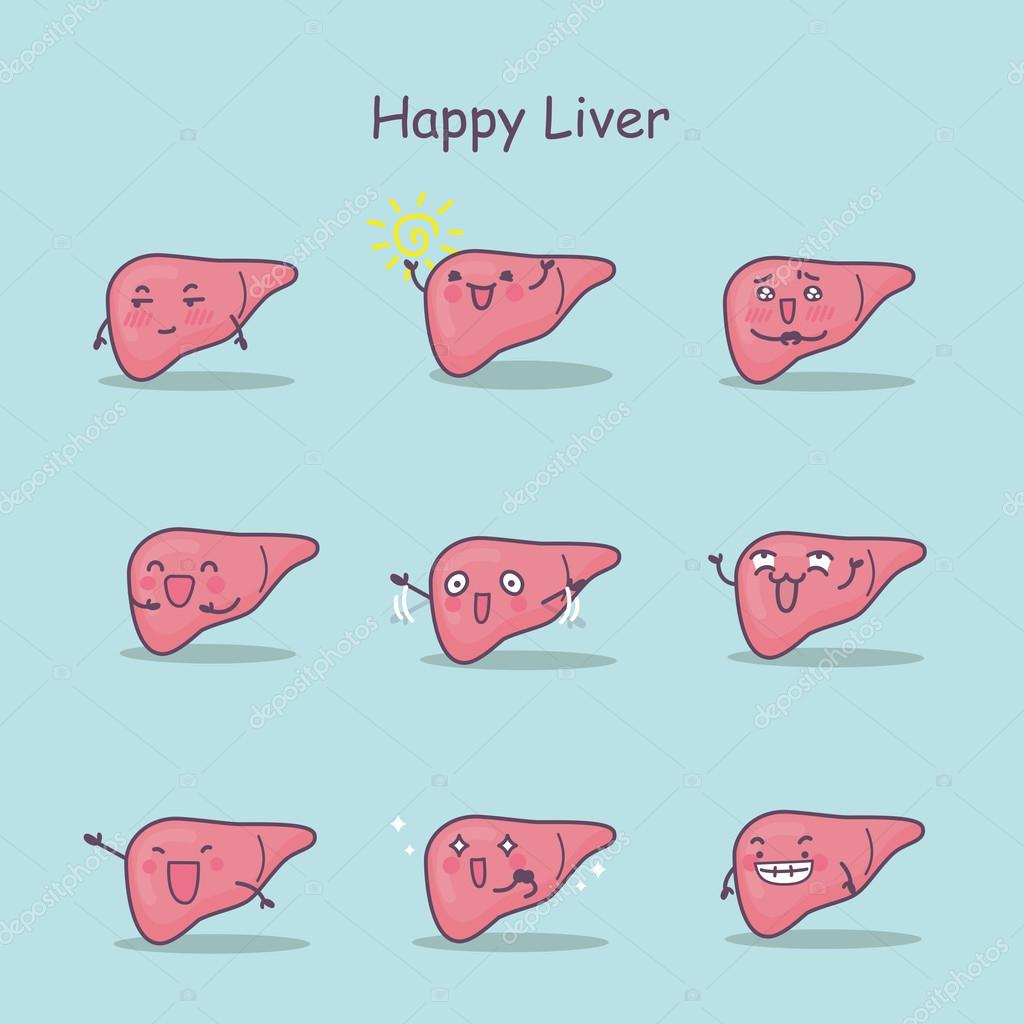 Happy cartoon liver set Stock Vector Image by ©etoileark #110142532