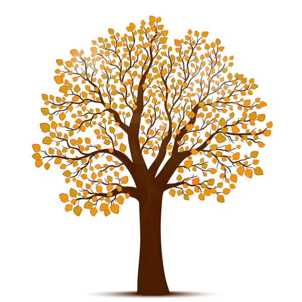 Autumn Tree Vector