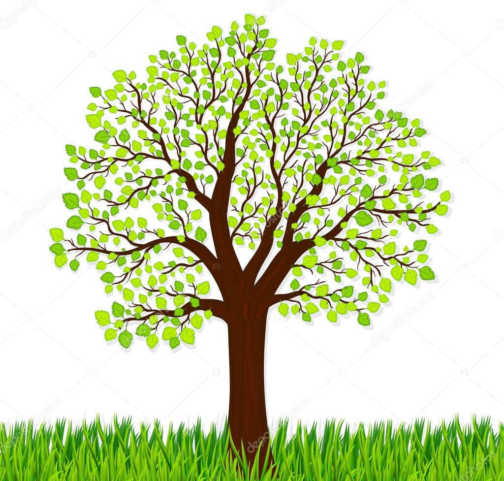 Nature background with green grass and tree Stock Vector Image by ...