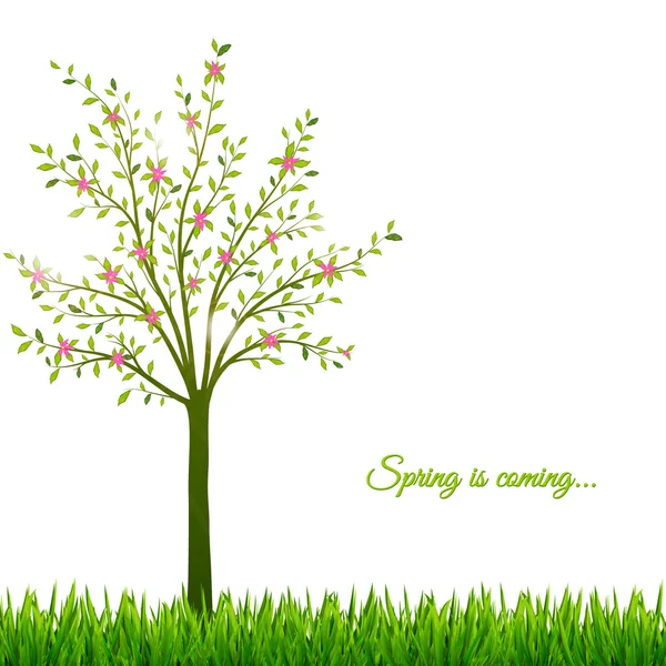 Vector background with spring trees Stock Vector Image by ©cat_arch ...