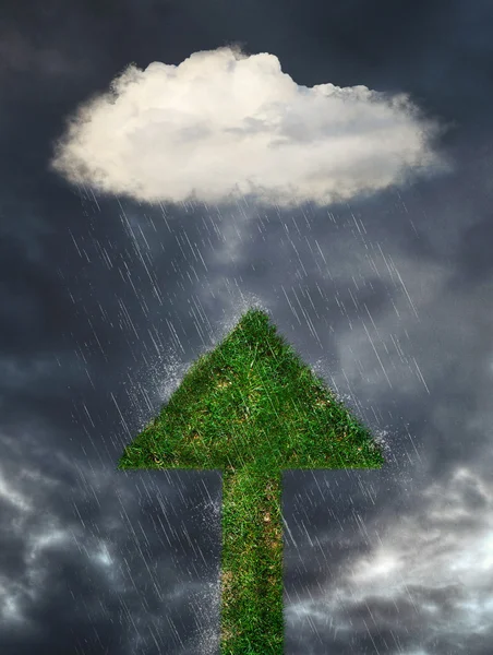 Make it rain Stock Photos, Royalty Free Make it rain Images | Depositphotos