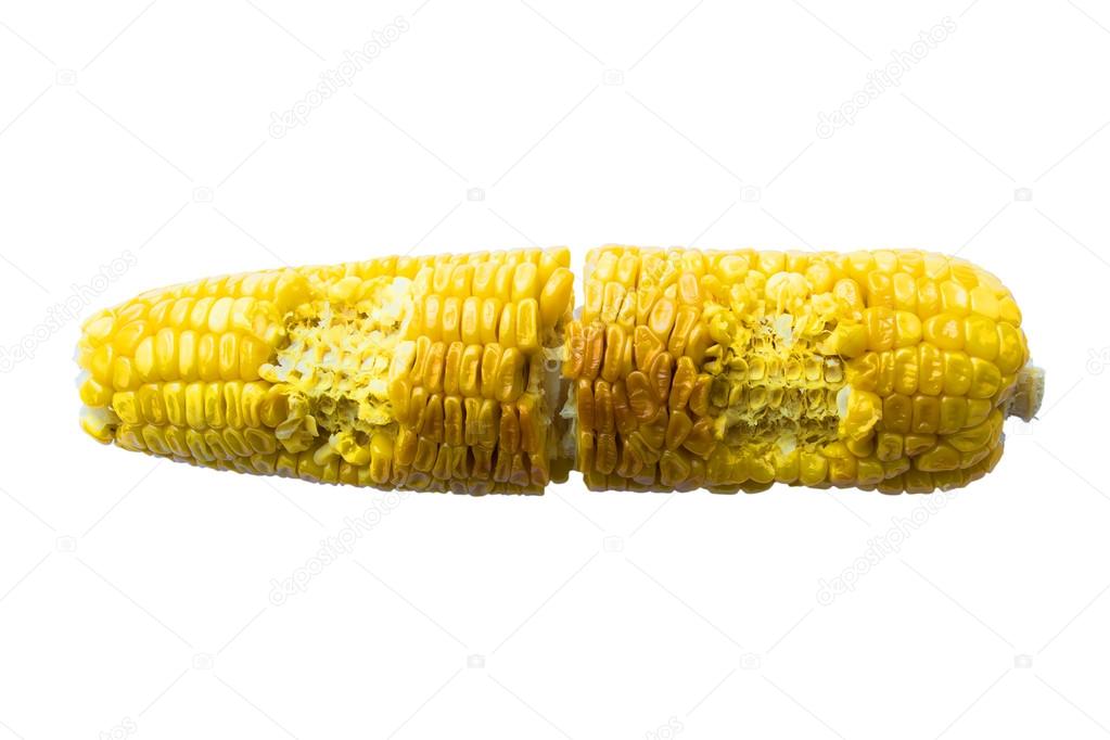 Isolated of corn withtwice bited on corn on whited background — Stock ...