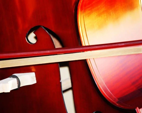 Up close Stringed Instrument - Stock Image - Everypixel