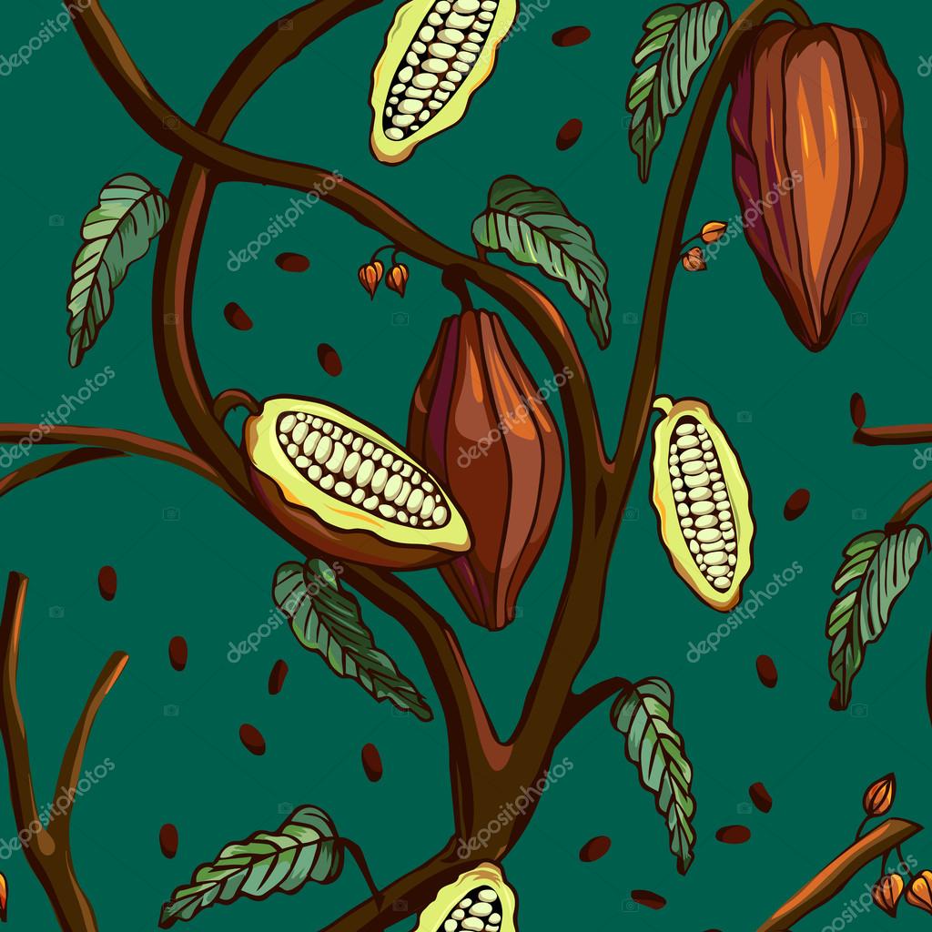 Cocoa tree pattern. Seamless background of cocoa tree with beans and ...