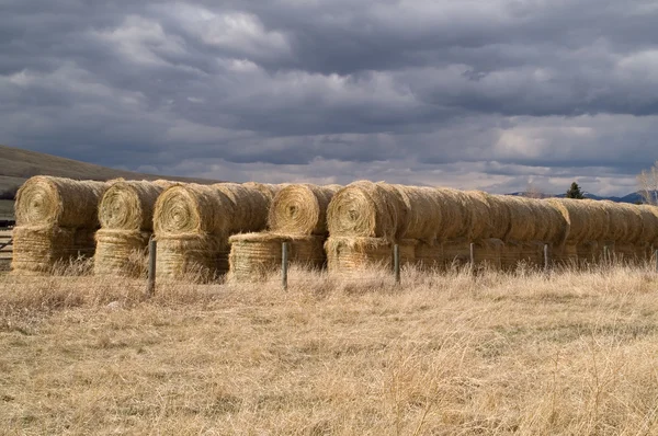 Making hay bales Stock Photos, Royalty Free Making hay bales Images ...