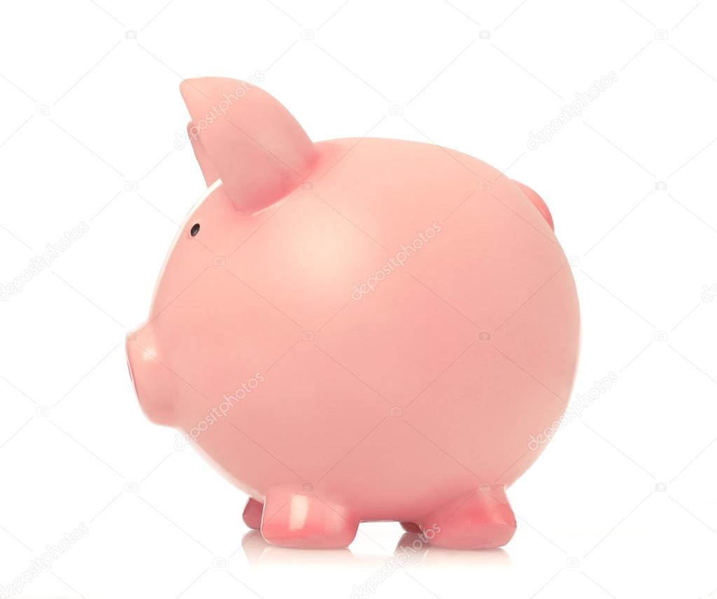 Cute Piggy Bank Side View