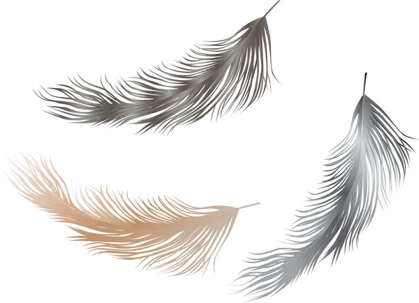 Falling Feathers Drawing