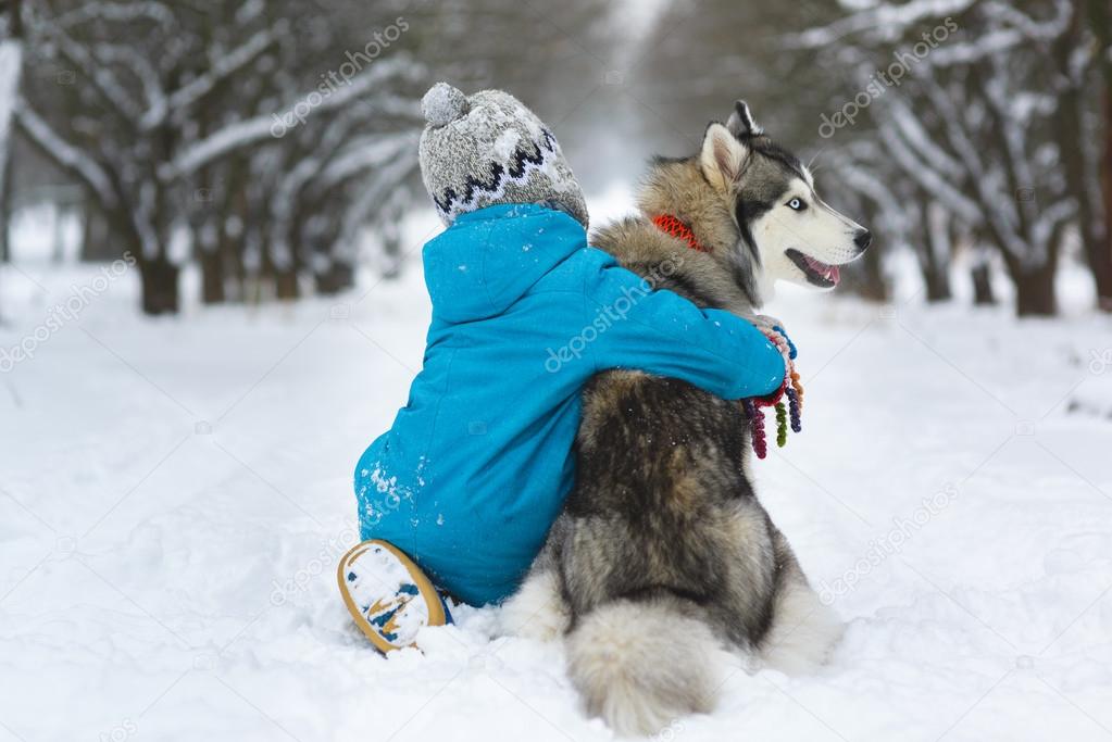 Happy Husky In Snow
