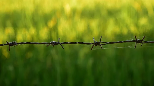 Barded wire to protect the property - Stock Image - Everypixel