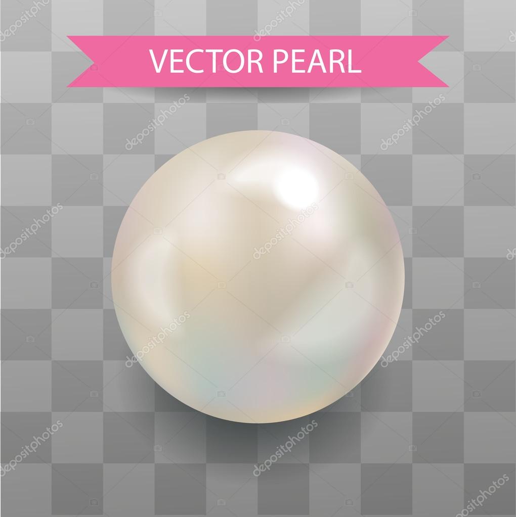 Perla vectorial. Perla realista. Fondo transparente . Vector de stock ...