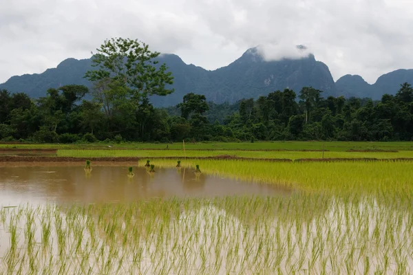 Laos landscape Stock Photos, Royalty Free Laos landscape Images ...