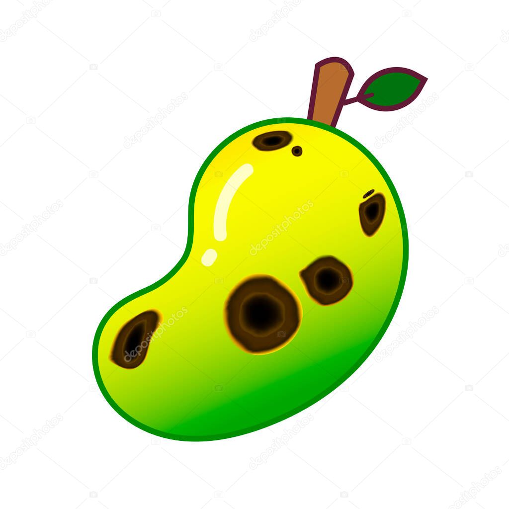 Control De Plagas Y Enfermedades Del Mango