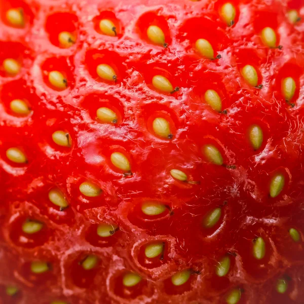 Extreme macro of strawberry Stock Photo by ©suslik83 8378722