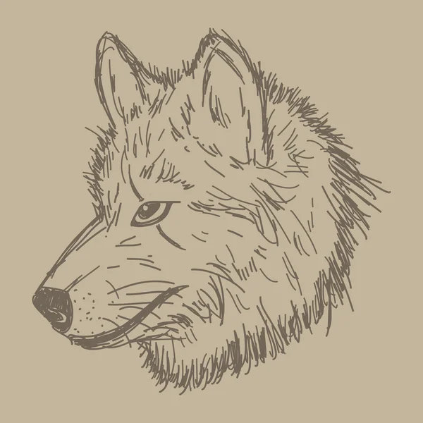 Farkas rajzok Stock vektorok, Farkas rajzok Jogdíjmentes illusztrációk ...