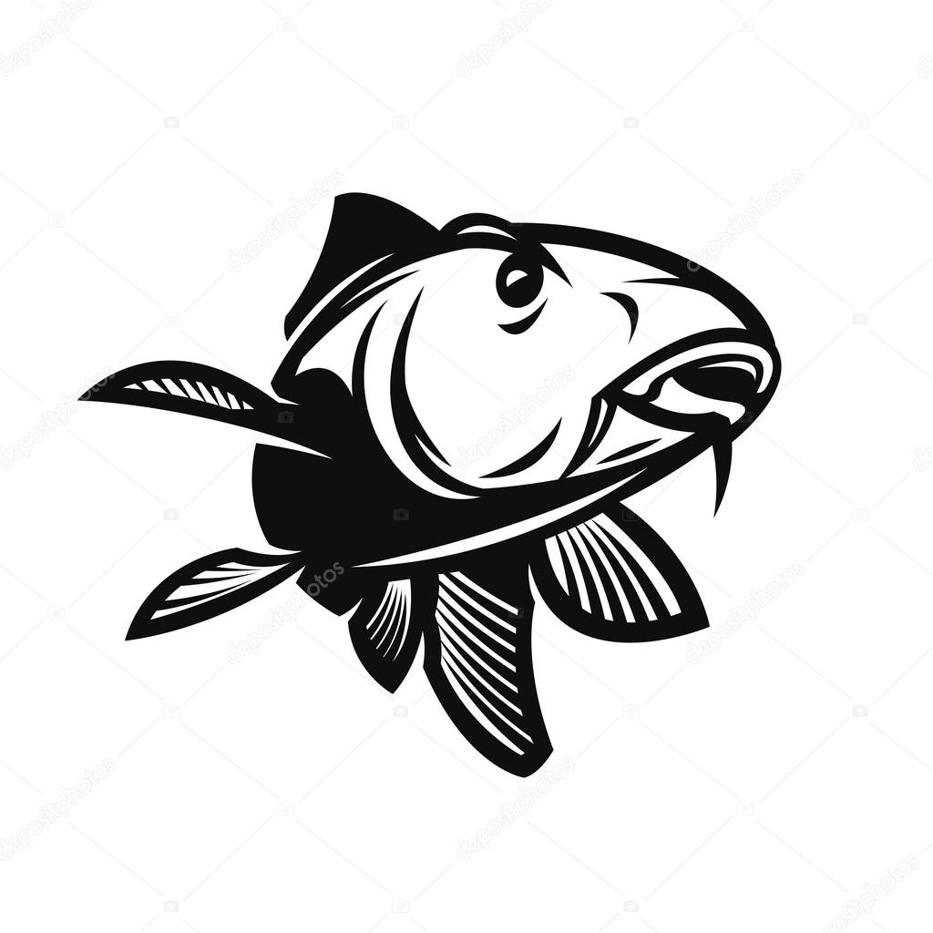 Carp vector illustration Stock Vector Image by ©morokey27.gmail.com ...