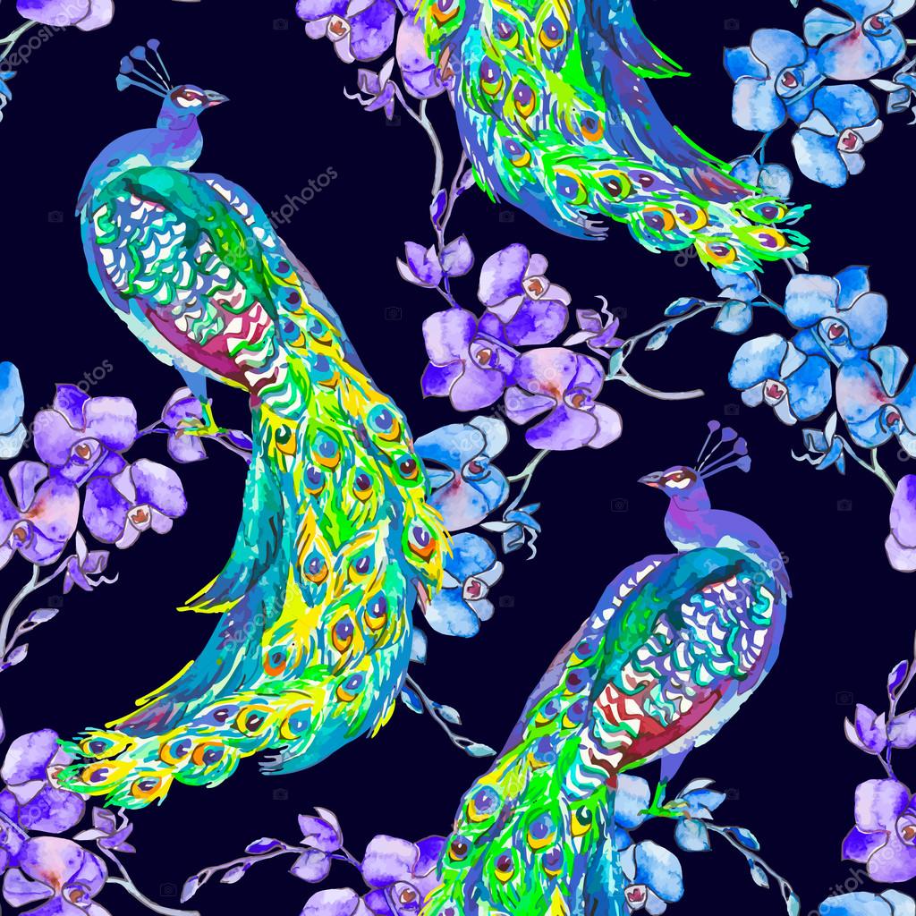Beautiful peacock pattern. Tropical seamless pattern. Vector. Peacocks ...