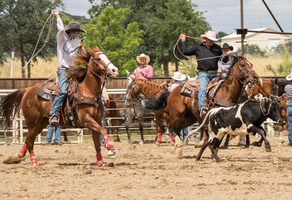 Team roping Stock Photos, Royalty Free Team roping Images | Depositphotos