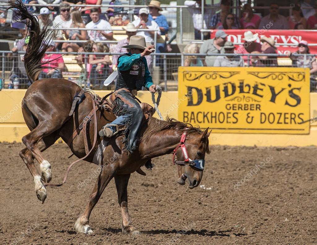 Cowboy Riding Hard – Stock Editorial Photo © Teacherdad48 #93934608