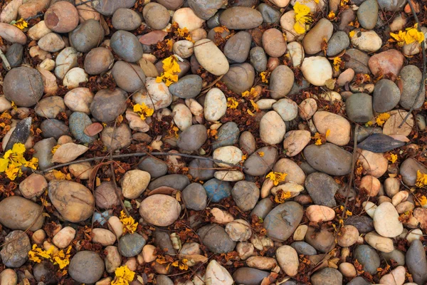 Yellow pebbles Stock Photos, Royalty Free Yellow pebbles Images ...