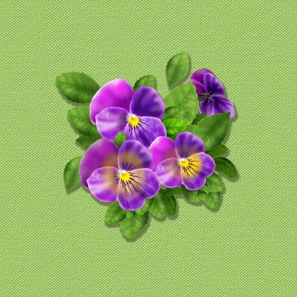 Pansy flowers realistic painting. Viola tricolor flowers meadow. Pansy ...