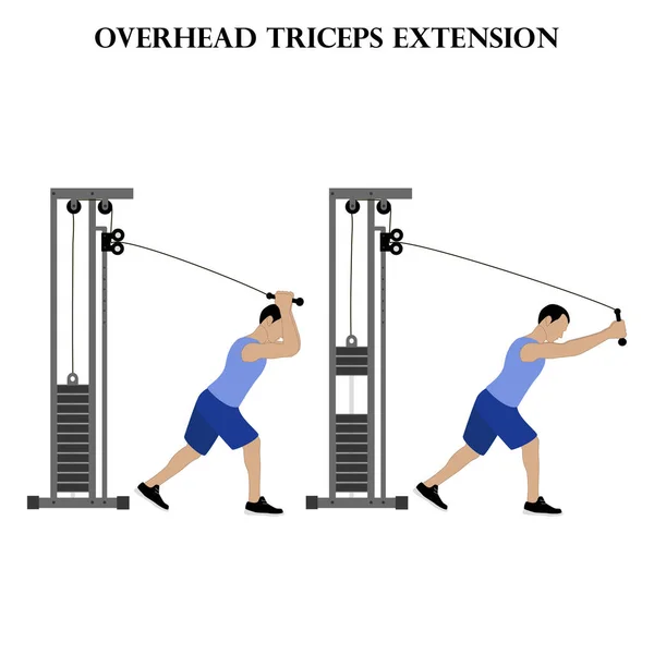 47 Tricep extension Vector Images, Tricep extension Illustrations ...