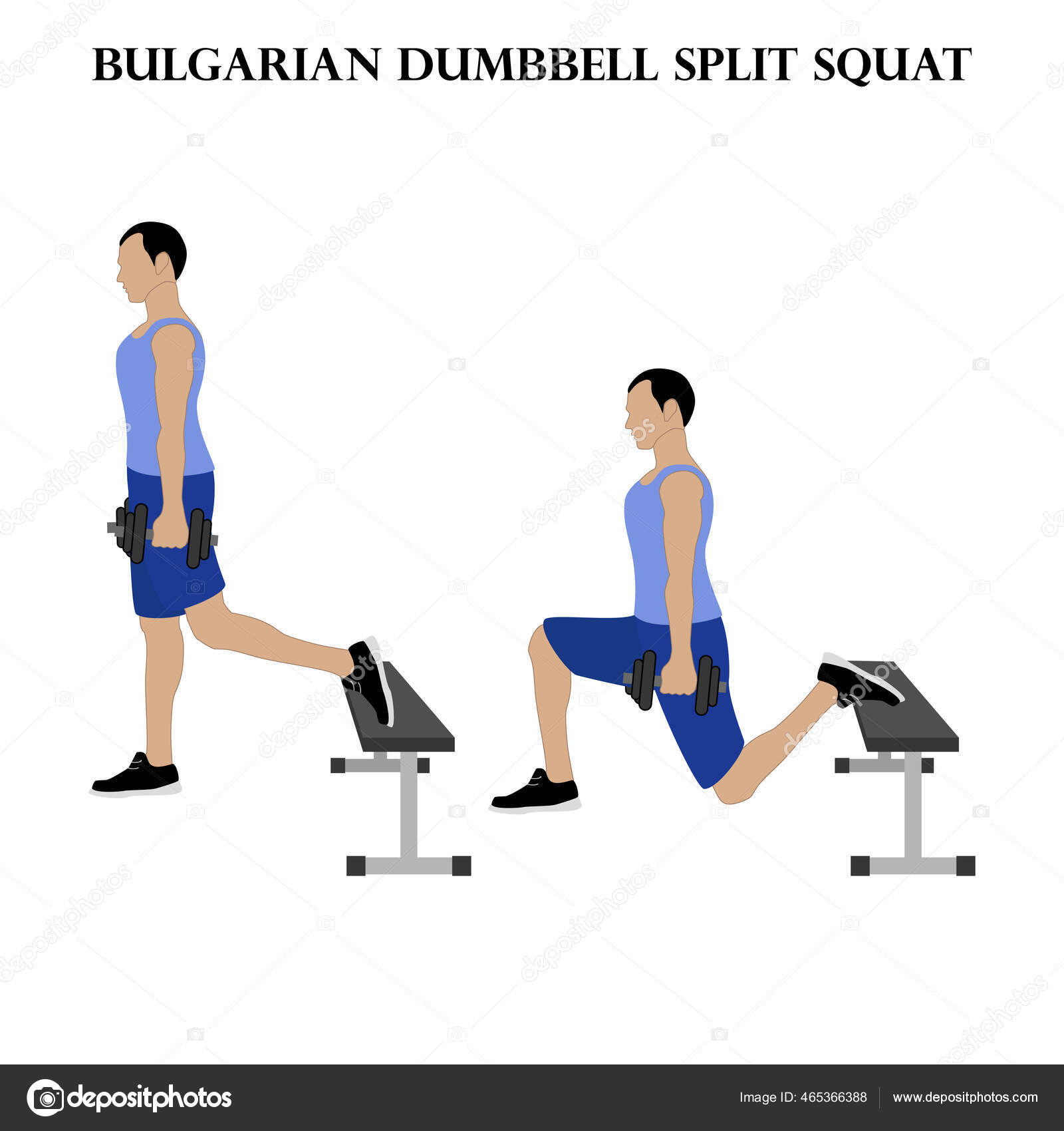 Bulgarian Dumbbell Split Squat Exercise Strength Workout Vector ...