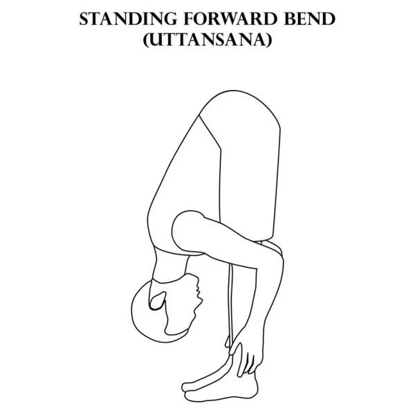 110 Standing forward bend pose Vector Images - Free & Royalty-free ...