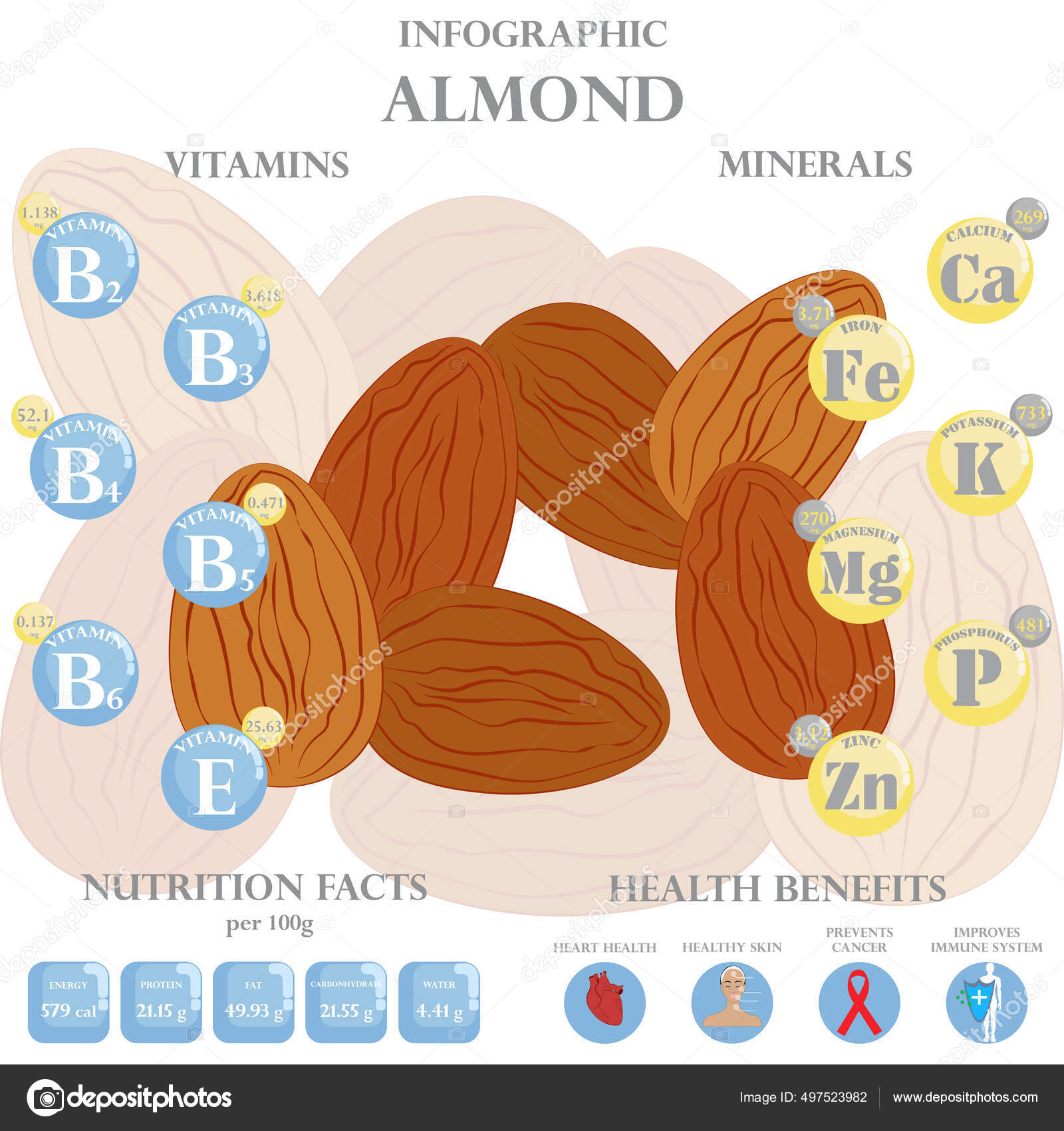 Infographic Nutrients Almond Vector Illustration Almond Vitamins Nuts ...