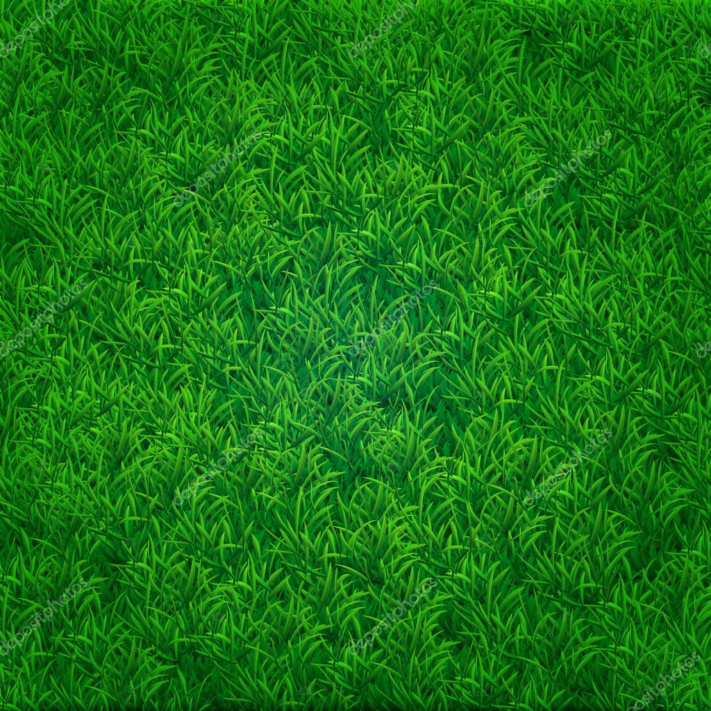 Green grass texture. Vector background. premium vector 2024