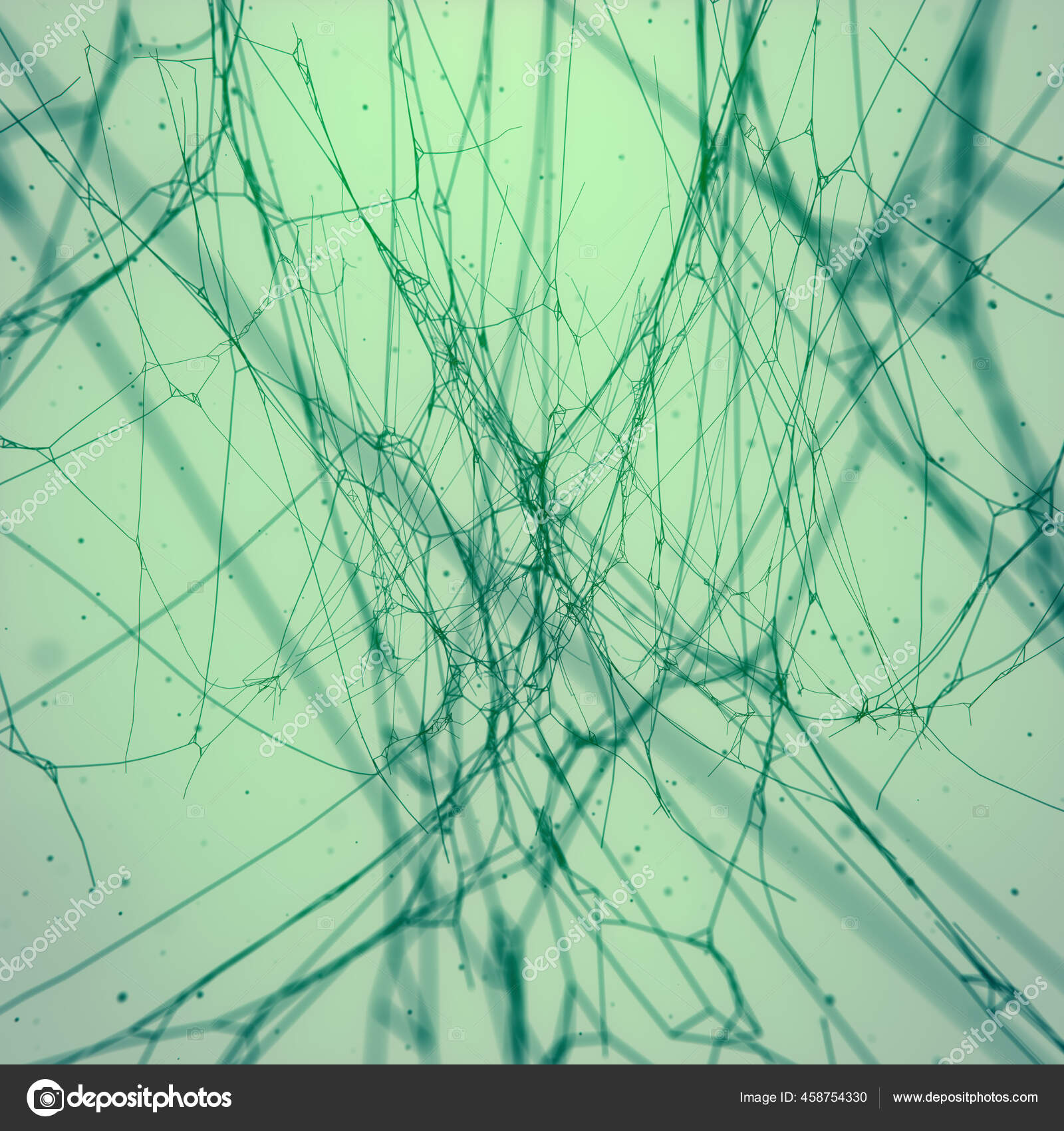 Spider Web Under Microscope