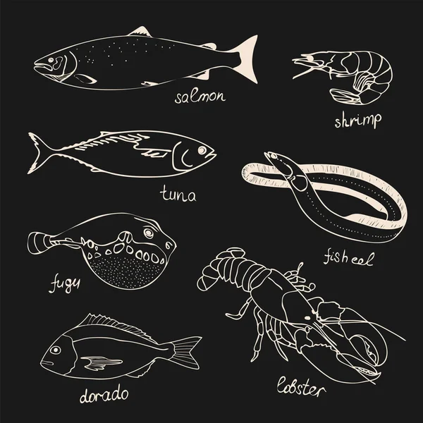 100,000 Ocean food web Vector Images | Depositphotos