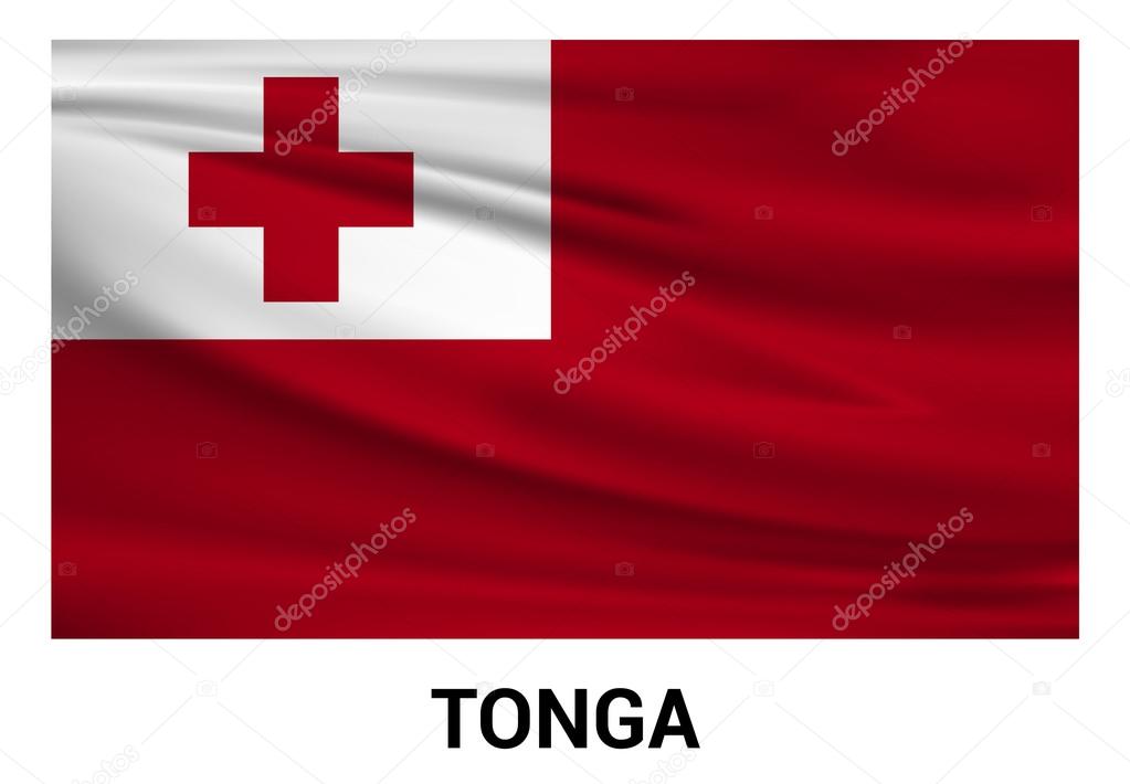 Tonga flag logo. Stock Vector by ©ibrandify 93967074
