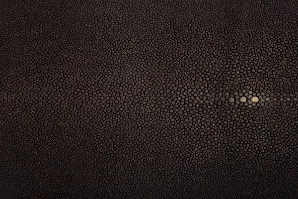 12,200,651 imágenes de Cuero de mantarraya libres de derechos ...